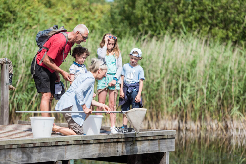 3 raisons de (re)découvrir le Zwin Park Nature • L'Éventail