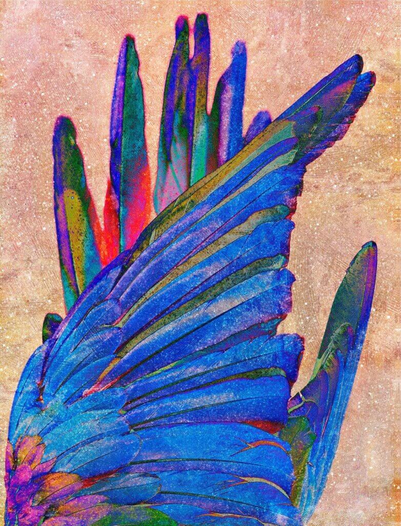 Affordable Art Fair Brussels : L’art contemporain pour tous ! • L'Éventail